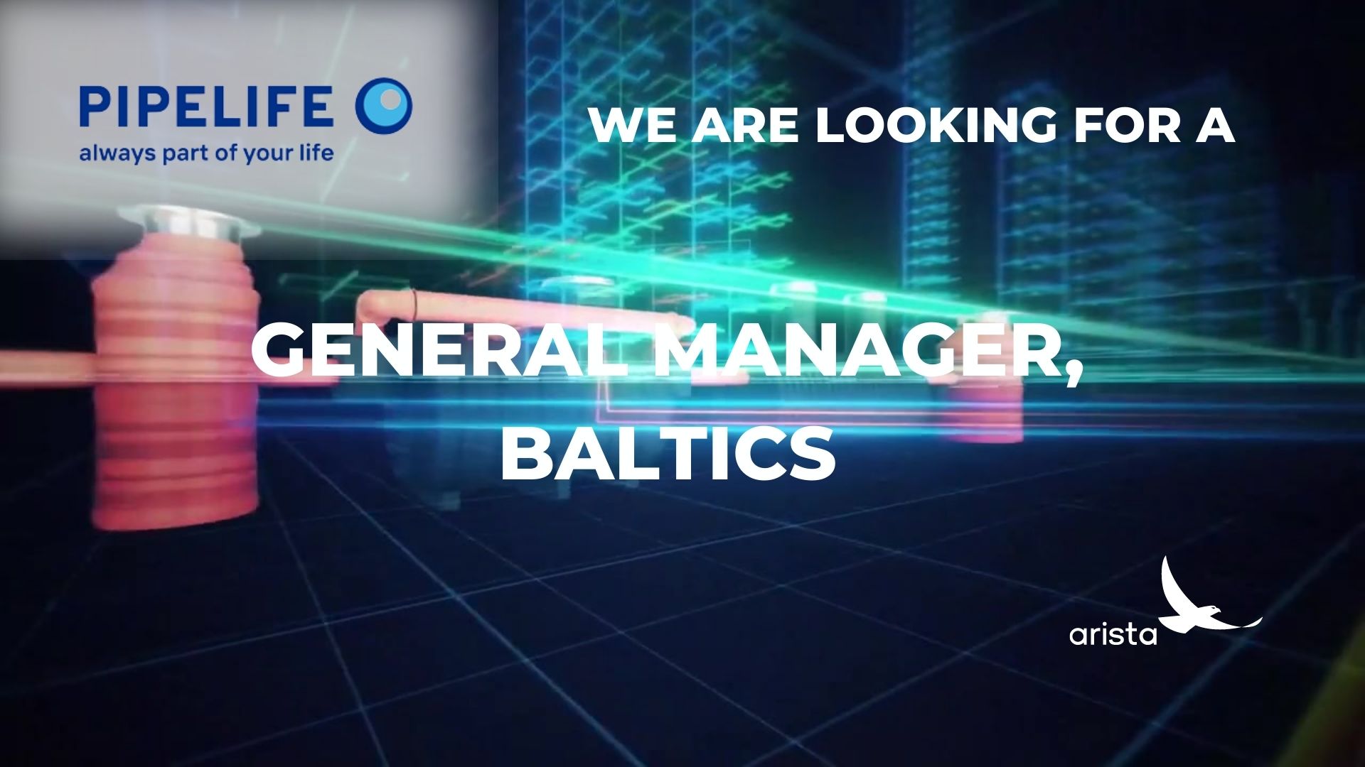 General Manager, Baltics - Pipelife